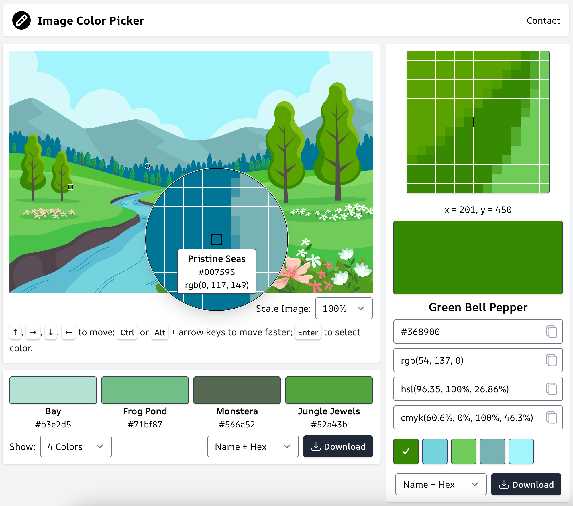 Image Color Picker - Extract Colors from Images